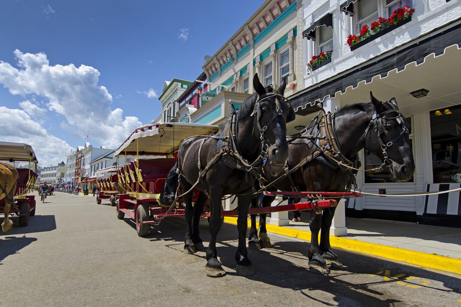 Ernest Hemingway in Northern Michigan - Northern Michigan Guides
