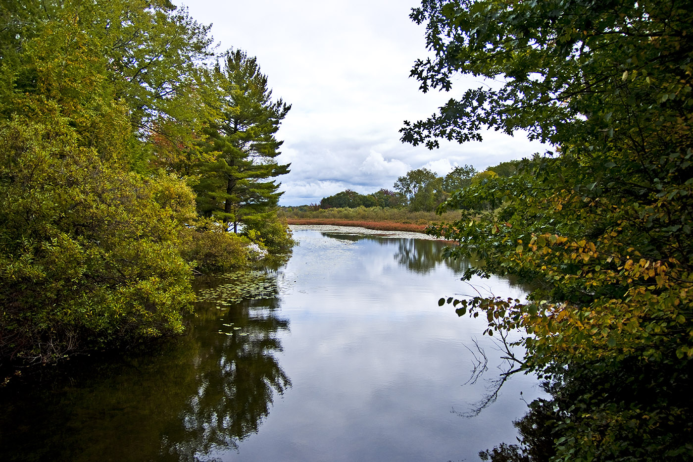 Wilderness State Park on Lake Michigan - Northern Michigan Guides