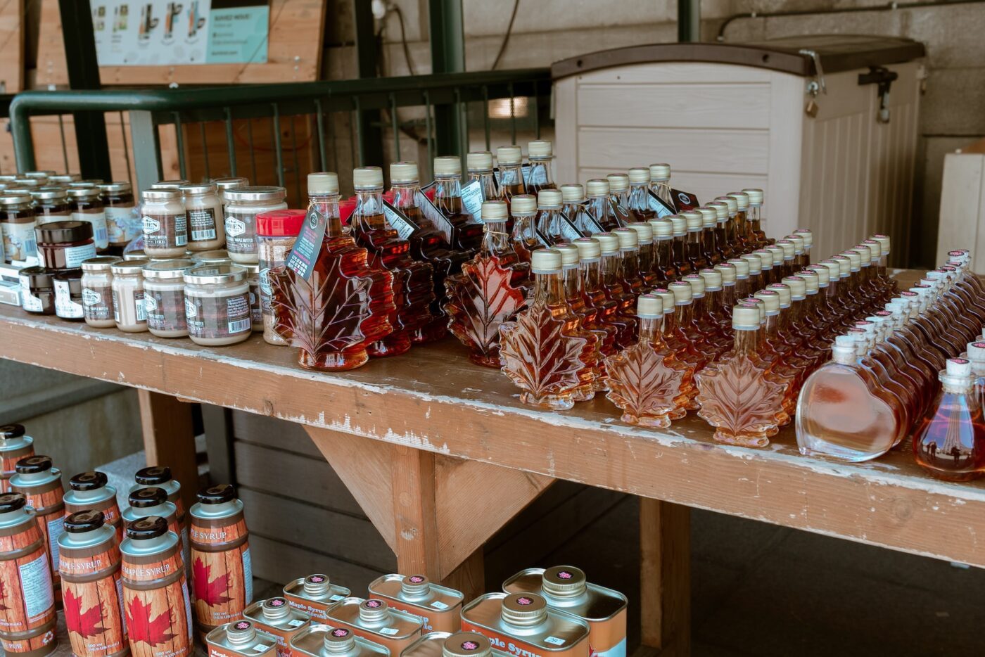 Maple Syrup Season - Northern Michigan Guides